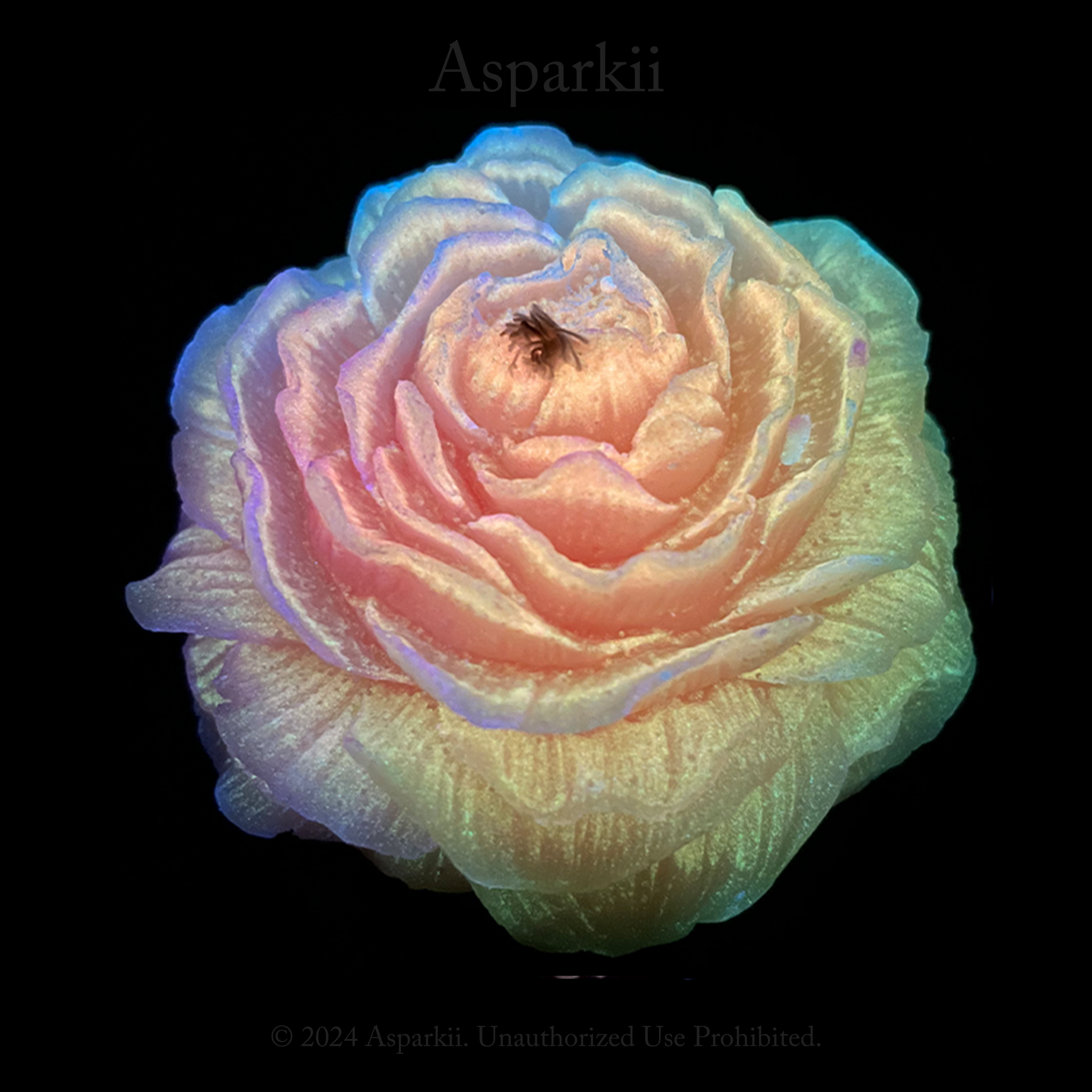 [B102] Fluorescent style Luminous Rose Low Temp Candles – Asparkii