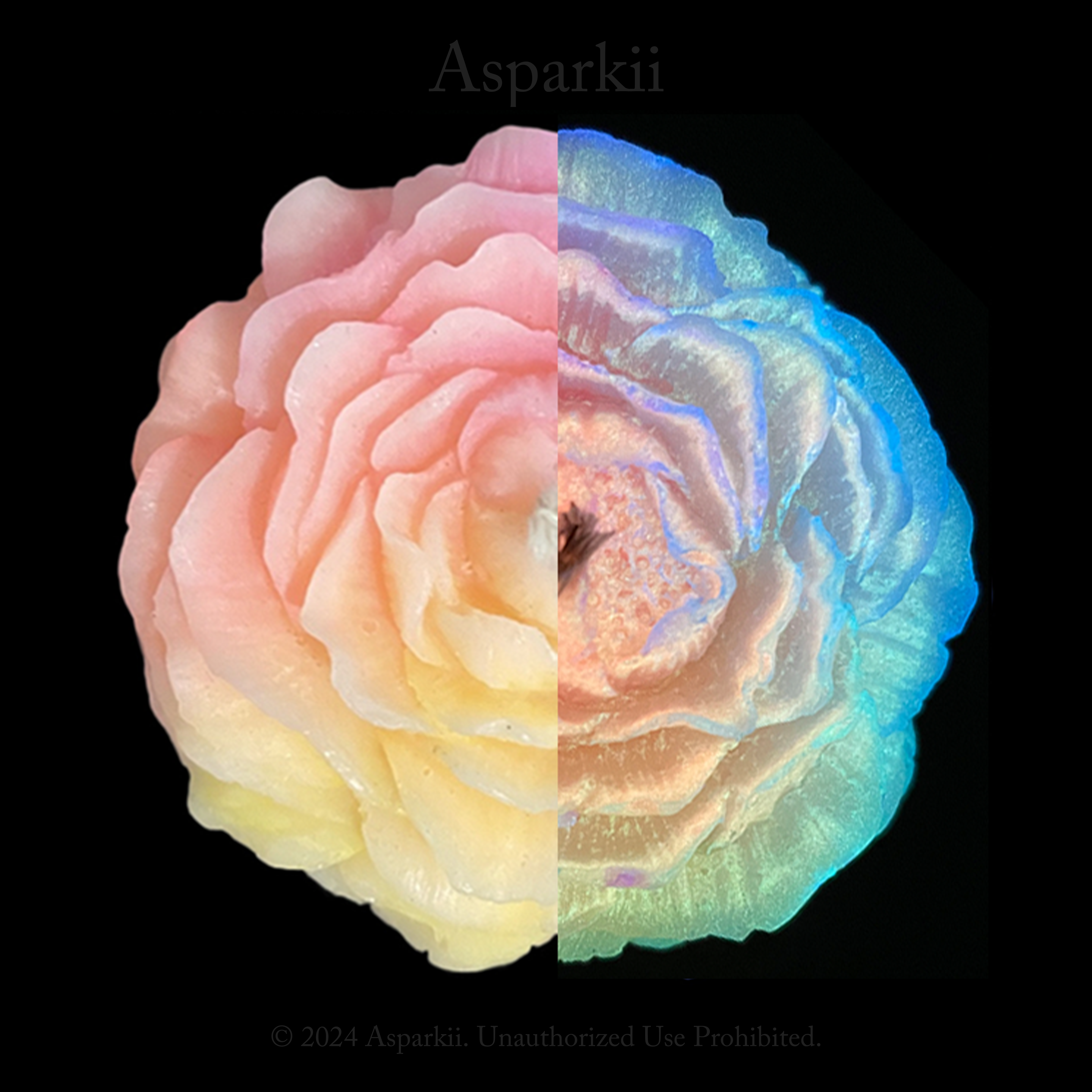[B102] Fluorescent style Luminous Rose Low Temp Candles – Asparkii
